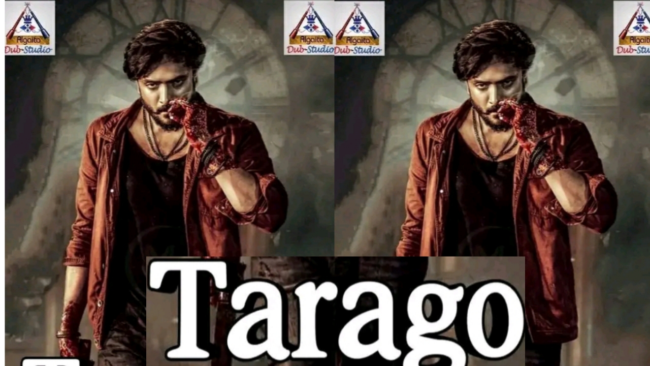 indian hausa TARAGO FASSARAN ALGAITA DUB STUDIO 2025 - Arewa Medium