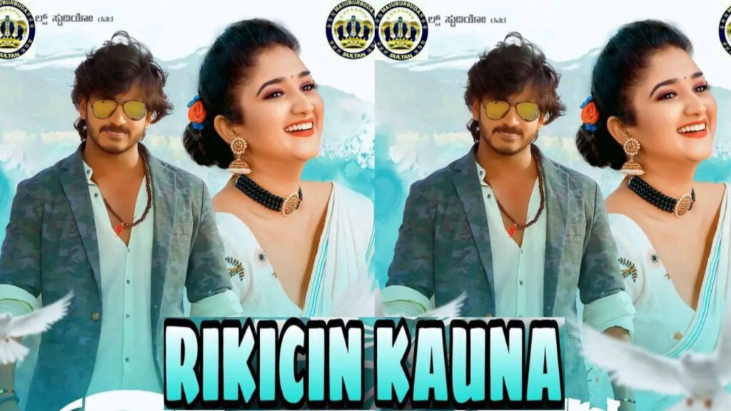 SAIYAARA Indian Hausa 2025 Fassarar Sultan Master - Arewa Medium